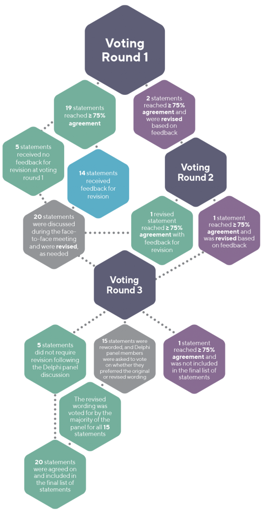 Consensus Process and Publication | Adult Hearing